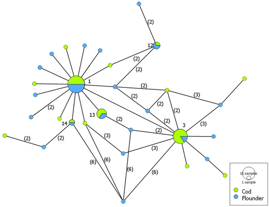 Genetic Structure of Juvenile Stages of Phocanema bulbosum (Nematoda ...