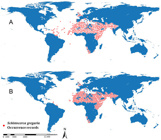 Potential Spread of Desert Locust Schistocerca gregagia (Orthoptera ...