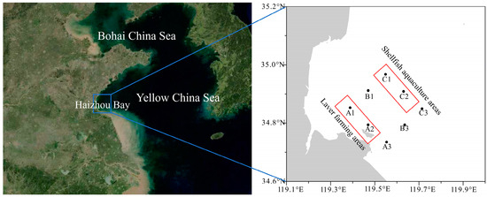 Seasonal and Spatial Variability in the Bacterial Diversity in Haizhou ...