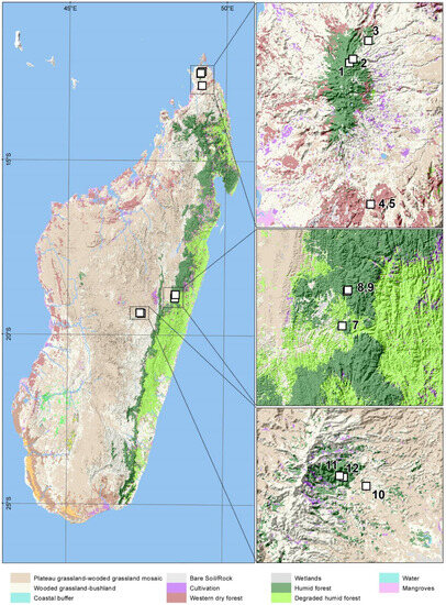 Diversity of the Endemic Madagascan Dung Beetles (Coleoptera ...