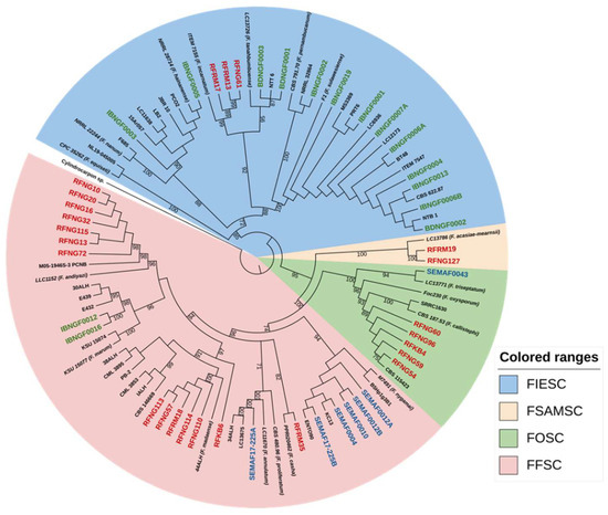 Fusarium and Sarocladium Species Associated with Rice Sheath Rot ...