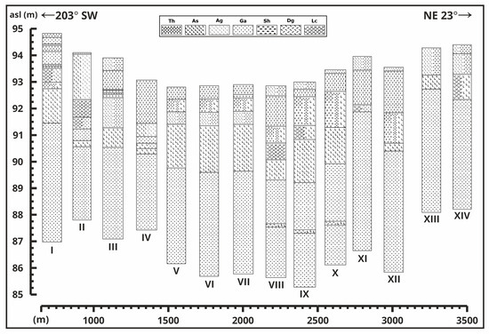 Diversity | Free Full-Text | Reconstructing the Paleoenvironmental ...