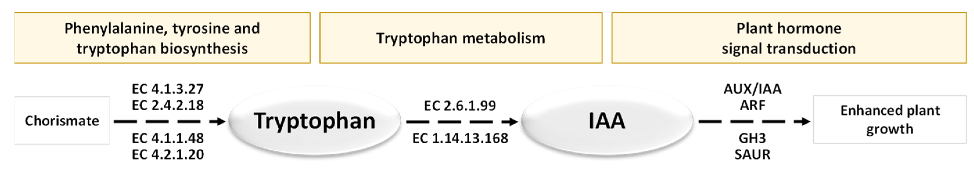 Expression Profiling of Salt-Responsive Genes and Transcription Factors in Leaf Transcriptome of ...
