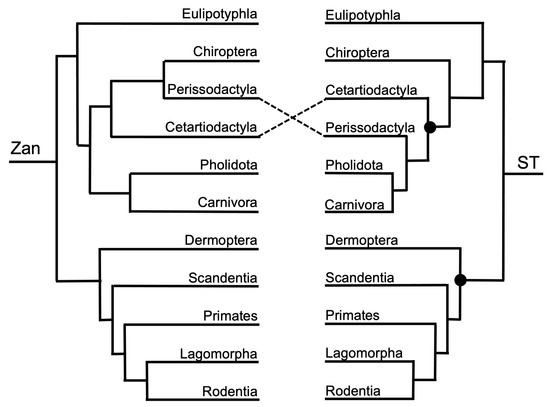 Gamete Recognition Gene Divergence Yields a Robust Eutherian Phylogeny ...