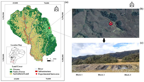 Effects of Fire on Pyrodiversity of Terricolous Non-Tracheophytes ...