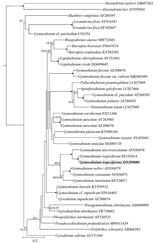 Morphological and Molecular Characterization of the Unarmored ...
