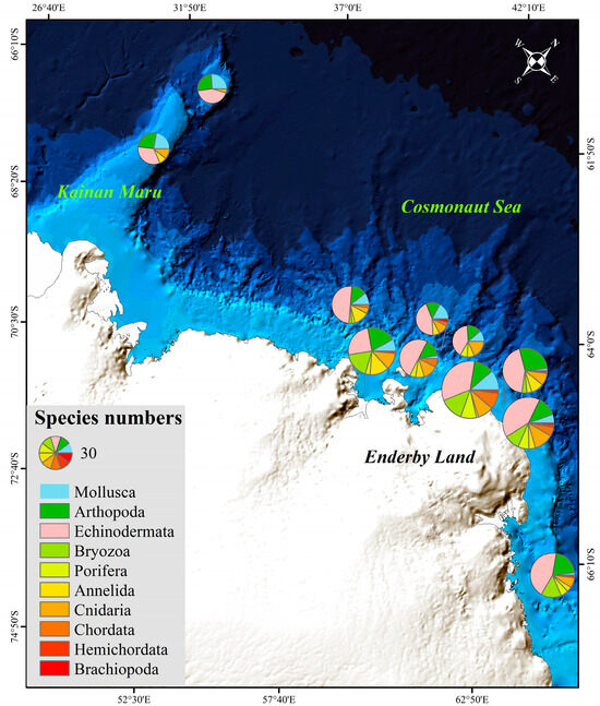 Species Diversity and Community Structure of Macrobenthos in the ...