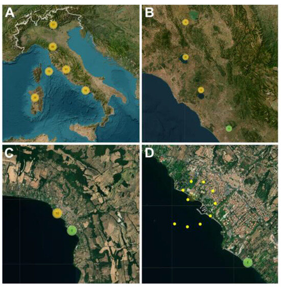 Status of the Italian Freshwater Gastrotricha Biodiversity, with the ...