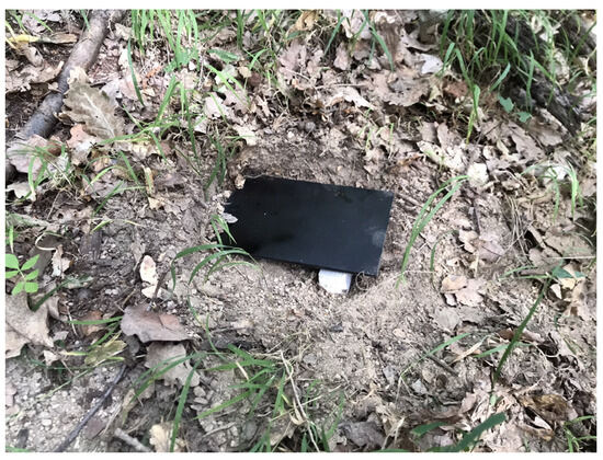 Coverings on Pitfall Traps Influence the Abundance of Ground-Dwelling ...