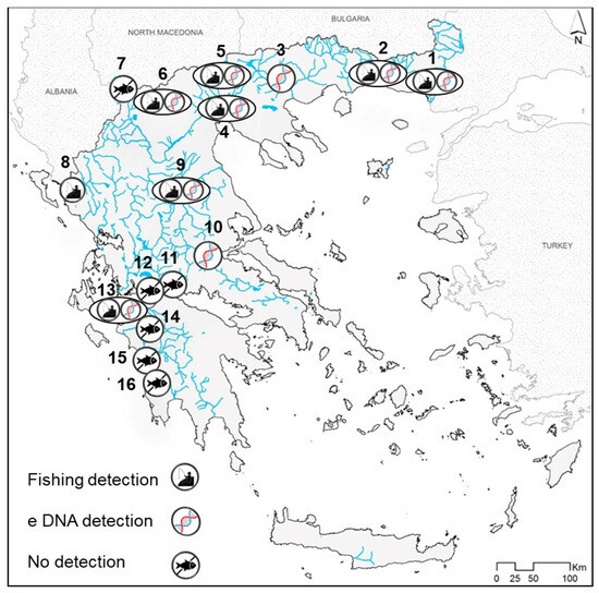 Nationwide Tracing of Two Top Freshwater Fish Invaders in Greece Using ...