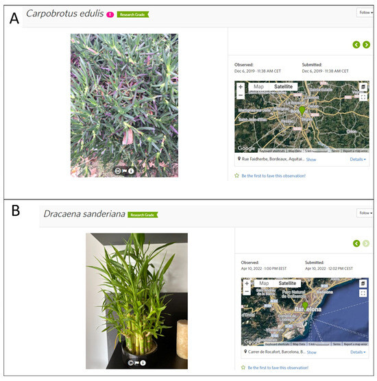 Diversity | Free Full-Text | Strengths and Challenges of Using iNaturalist in Plant Research ...