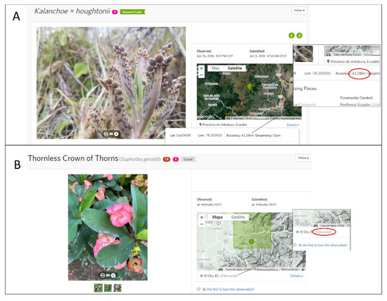 Strengths and Challenges of Using iNaturalist in Plant Research with ...