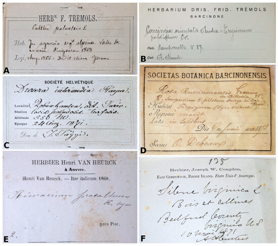 The Trèmols Herbarium: A European Herbarium from the End of the 19th ...