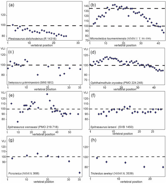 How Elongated? The Pattern of Elongation of Cervical Centra of ...