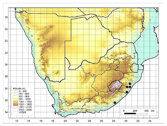 Diversity | Free Full-Text | A Taxonomic Review of South African ...