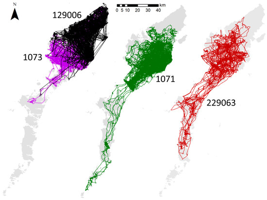Golden Eagle Populations, Movements, and Landscape Barriers: Insights ...