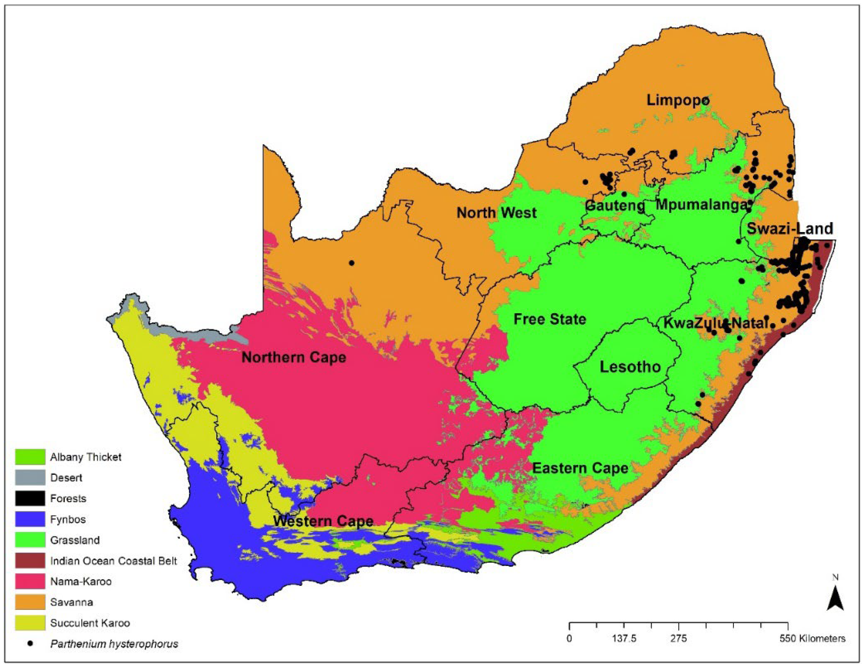 Ecological Traits and Socio-Economic Impacts of the Alien Invader Weed ...