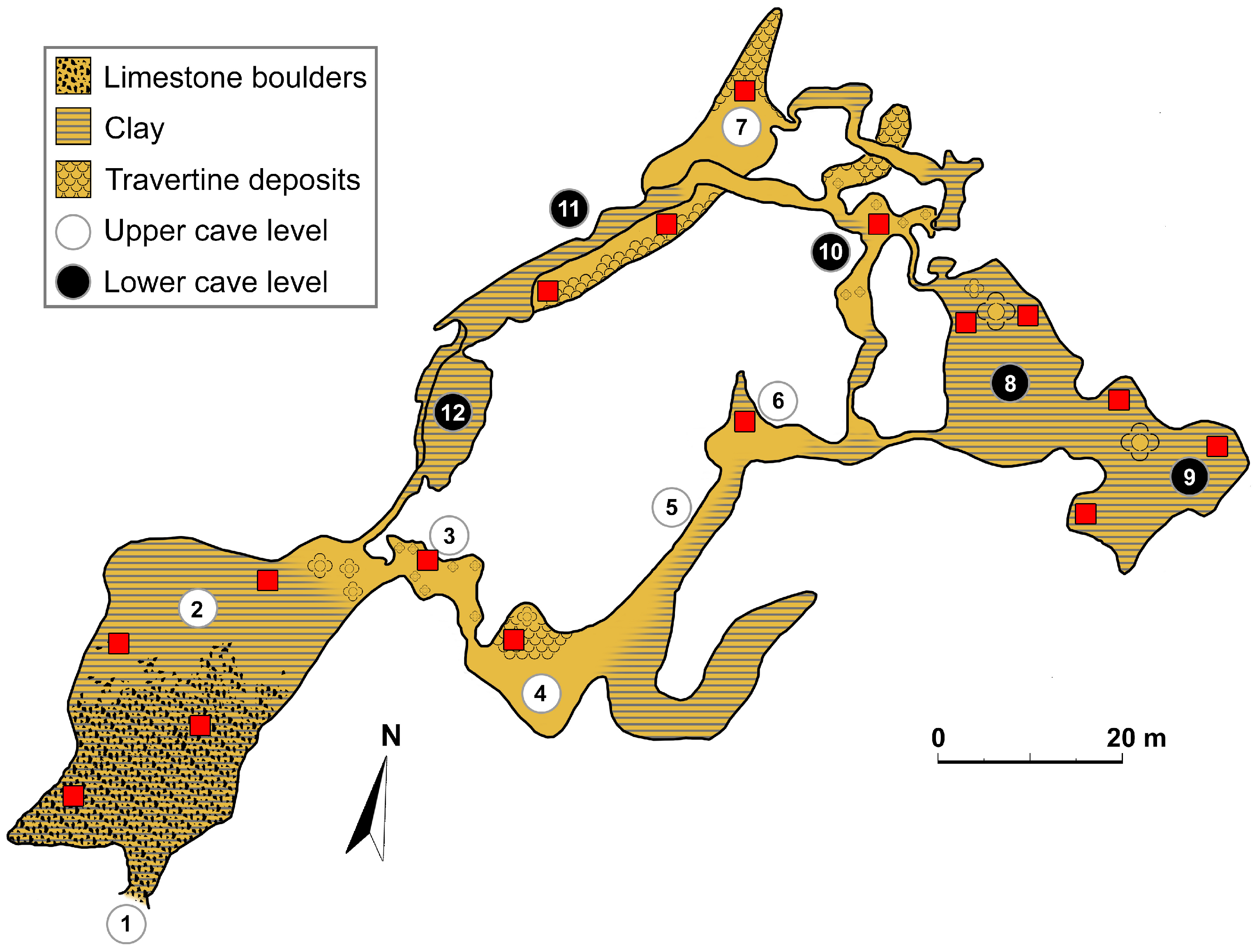 Diversity | Free Full-Text | The Diversity of Subterranean Terrestrial ...