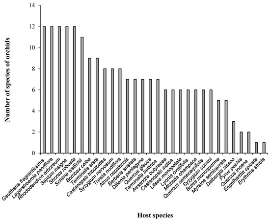 Associations between Epiphytic Orchids and Their Hosts and Future ...