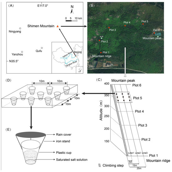Soil Moisture and Litter Coverage Drive the Altitude Gradient Pattern ...