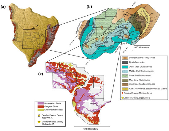 A Description of the New Hybodont Shark Genus, Columnaodus, from the ...