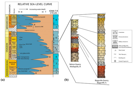 A Description of the New Hybodont Shark Genus, Columnaodus, from the ...