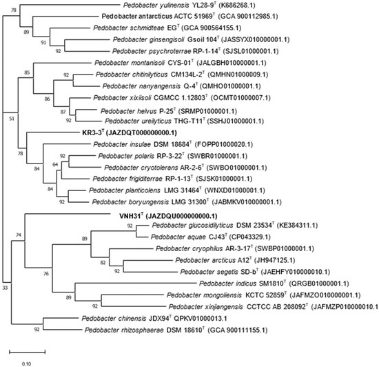 Genome-Based Classification of Pedobacter albus sp. nov. and Pedobacter ...