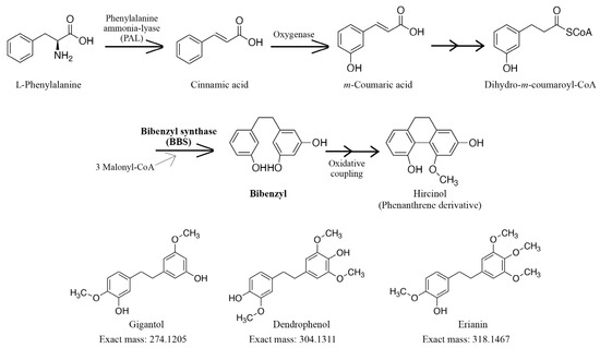 Diversity | Free Full-Text | BBS Gene Expression and Its Diversity in ...