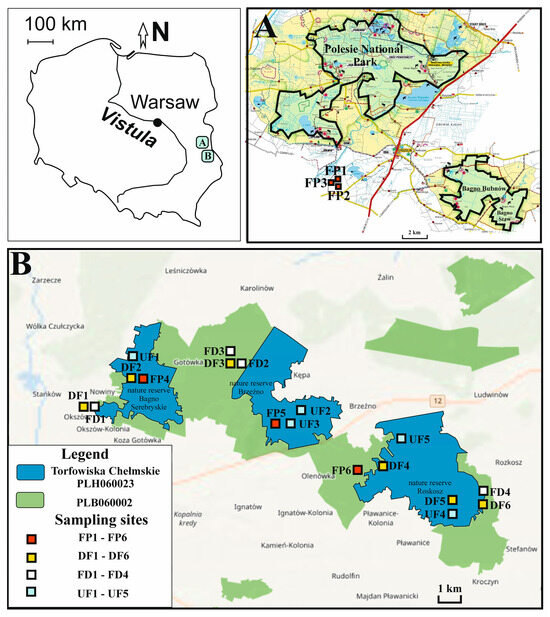 Drivers for the Diversity of Mollusc Communities in Unique Calcareous ...