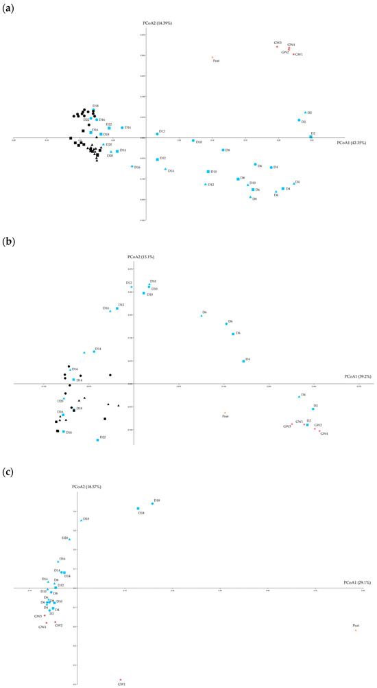 Rock Surface Colonization by Groundwater Microorganisms in an Aquifer ...