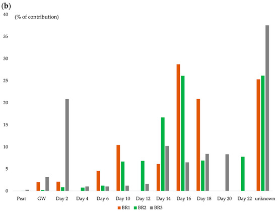 Rock Surface Colonization by Groundwater Microorganisms in an Aquifer ...