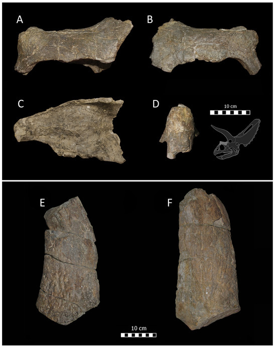 Stratigraphic Reassessment of the Mexican Chasmosaurine ...