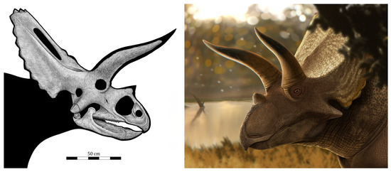 Stratigraphic Reassessment of the Mexican Chasmosaurine ...