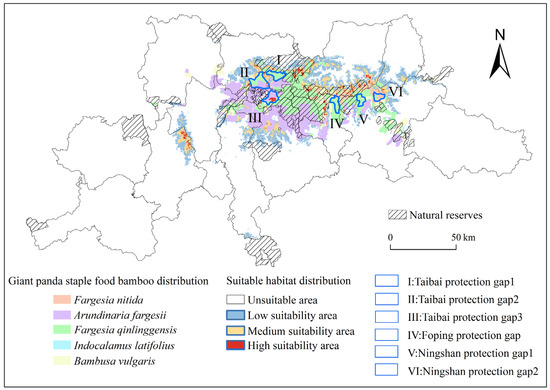 Habitat Suitability Analysis and Future Distribution Prediction of ...