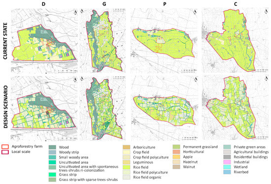 Diversity | Free Full-Text | Agricultural Landscapes: A Pattern-Process ...