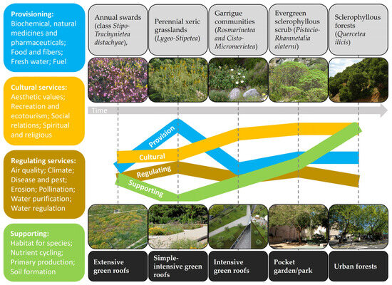 Beyond Urban Forests: The Multiple Functions and the Overlooked Role of ...