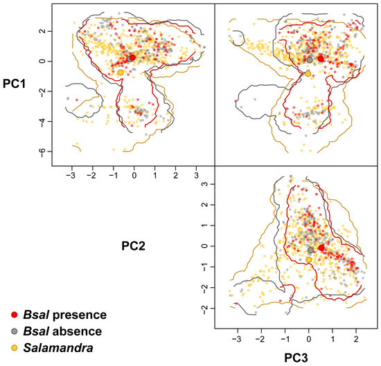 Microclimatic Growth Rates of Batrachochytrium salamandrivorans under ...