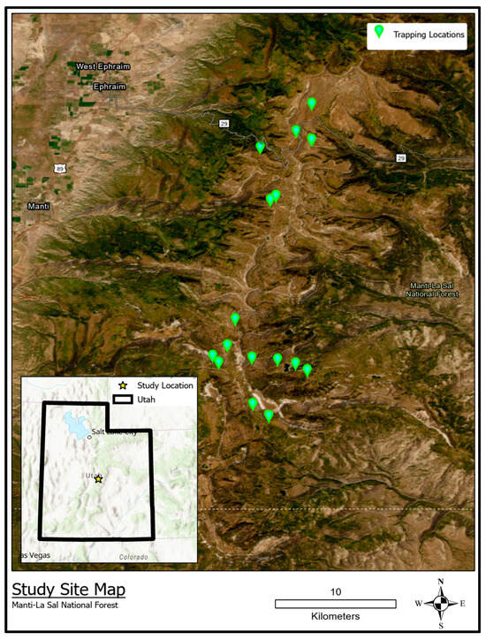 Pan Trapping and Malaise Trapping: A Comparison of Bee Collection ...