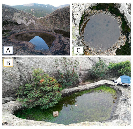 Bacterial Community Structure and Patterns of Diversity in the ...