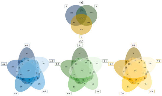 Bacterial Community Structure and Patterns of Diversity in the ...
