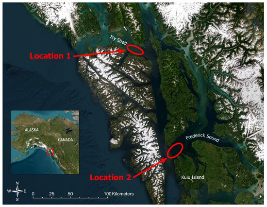 Comparative Shape of Two Recently Diverged Species of Pacific Rockfish ...