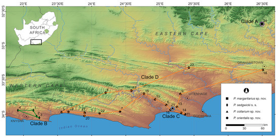 Molecular and Morphological Evidence for the Description of Three Novel ...