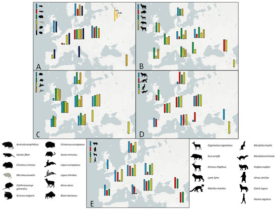 Contrasting Patterns of Genetic Diversity in European Mammals in the ...