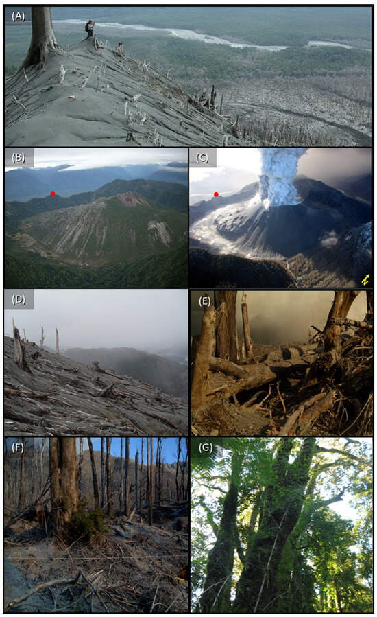Early Vegetation Recovery After the 2008–2009 Explosive Eruption of the ...