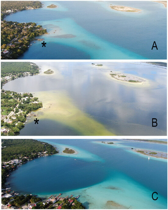 Zooplankton as an Indicator: A Dramatic Shift in Its Composition ...