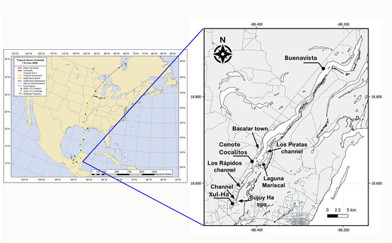 Zooplankton as an Indicator: A Dramatic Shift in Its Composition ...