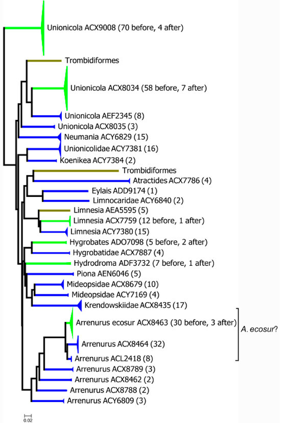 Zooplankton as an Indicator: A Dramatic Shift in Its Composition ...