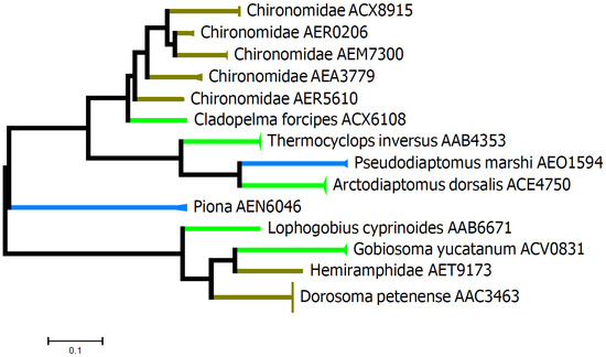 Zooplankton as an Indicator: A Dramatic Shift in Its Composition ...