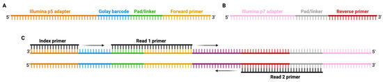 DNA Metabarcoding Using Indexed Primers: Workflow to Characterize ...