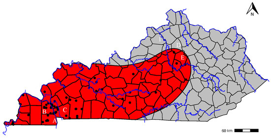 Current Distribution of the Nine-Banded Armadillo (Dasypus novemcinctus ...
